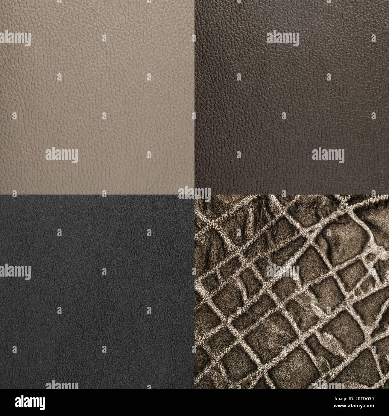 Set of grey leather samples, texture background Stock Photo - Alamy