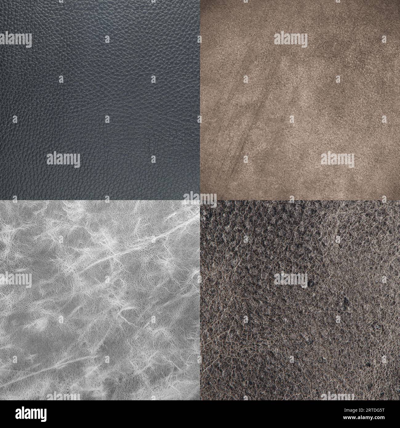 Set of grey leather samples, texture background Stock Photo - Alamy