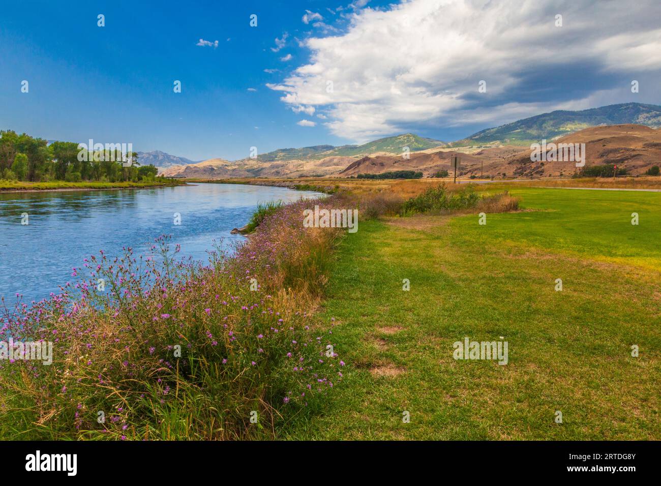 Yellowstone River along scenic highway US 89 in Montana. The ...
