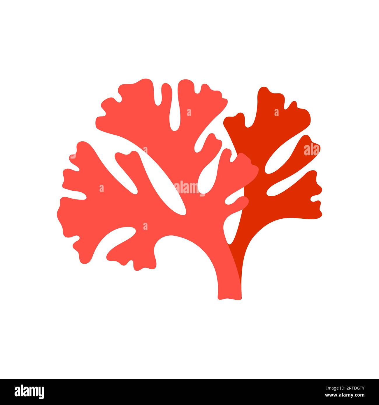 Red undersea plant grown at sea bottom, cartoon sea algae. Vector ...
