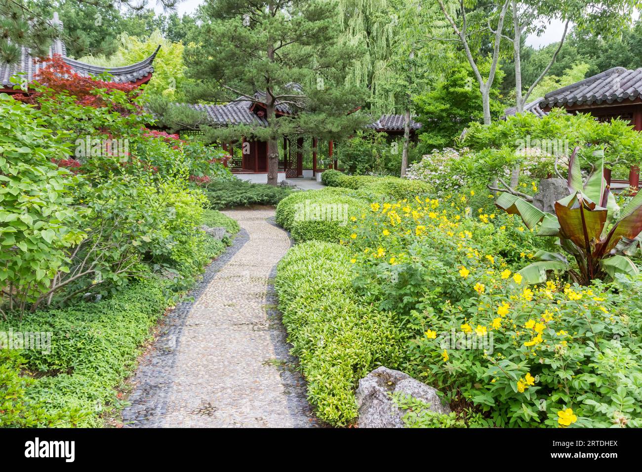Footpath going through the Chinese garden in Haren, Netherlands Stock ...