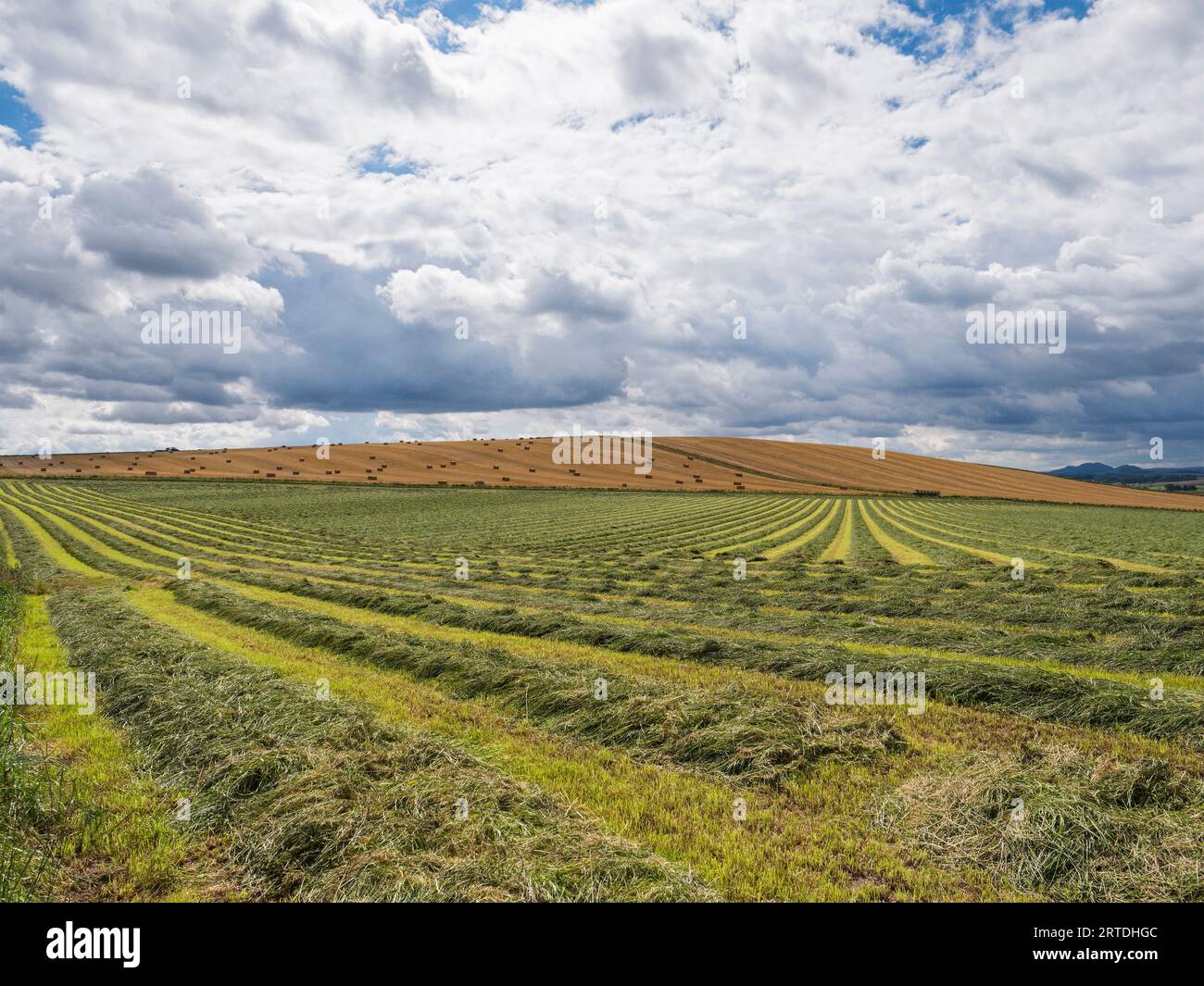 Arable farm land in the UK with cut grass and hay bales in the Scottish ...
