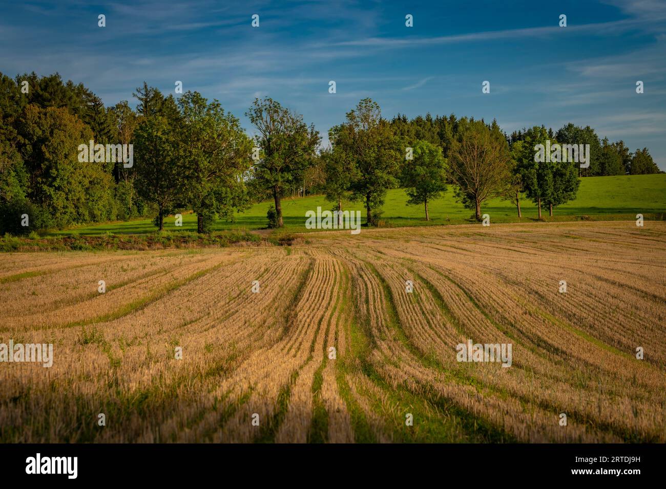 Summer color field after harvest of grain with stone in sunset hot ...