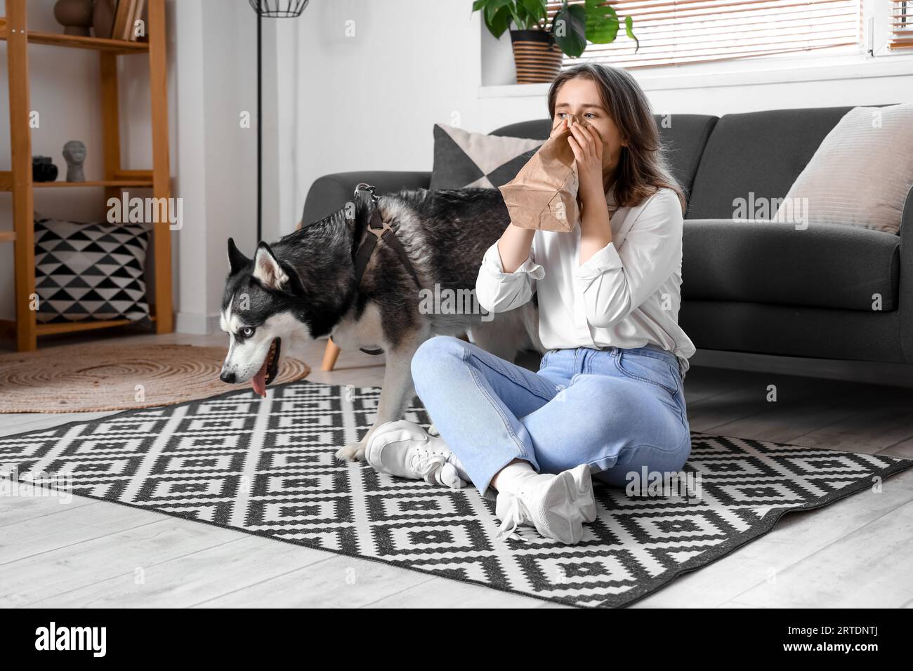 Canine vomit hi-res stock photography and images - Alamy