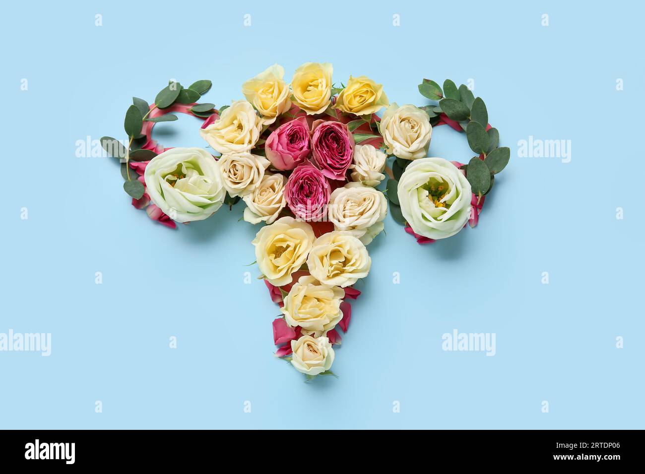 Uterus made of beautiful flowers on blue background Stock Photo - Alamy