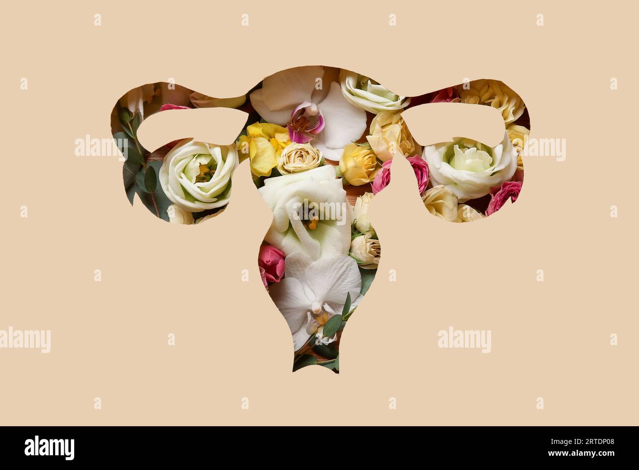 Female reproductive system flowers hi-res stock photography and images ...