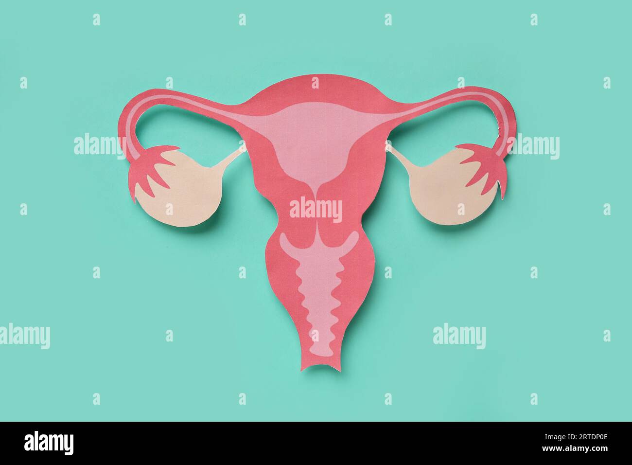 Paper uterus on turquoise background Stock Photo - Alamy