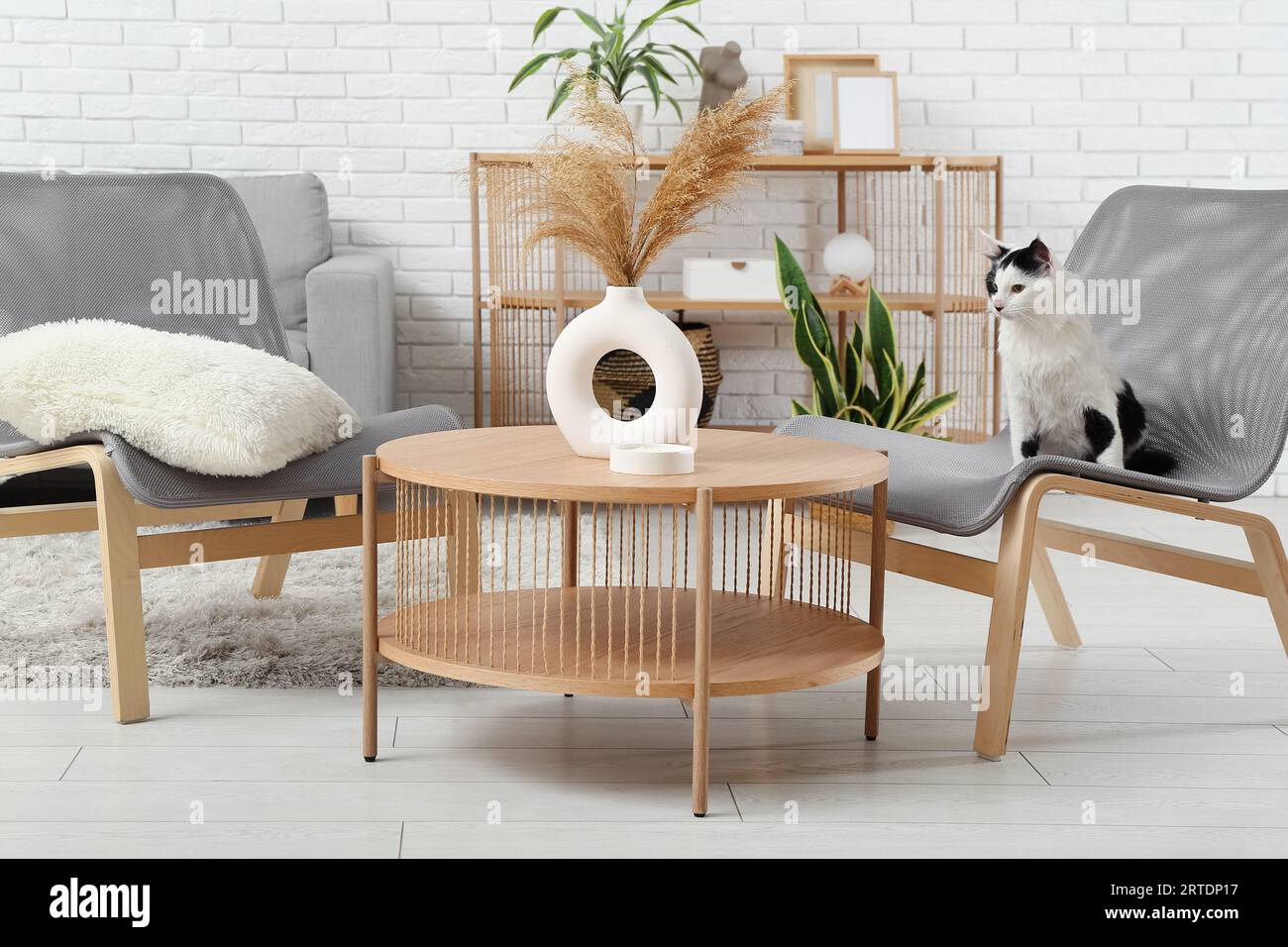 Interior of light living room with cute cat on chair Stock Photo - Alamy