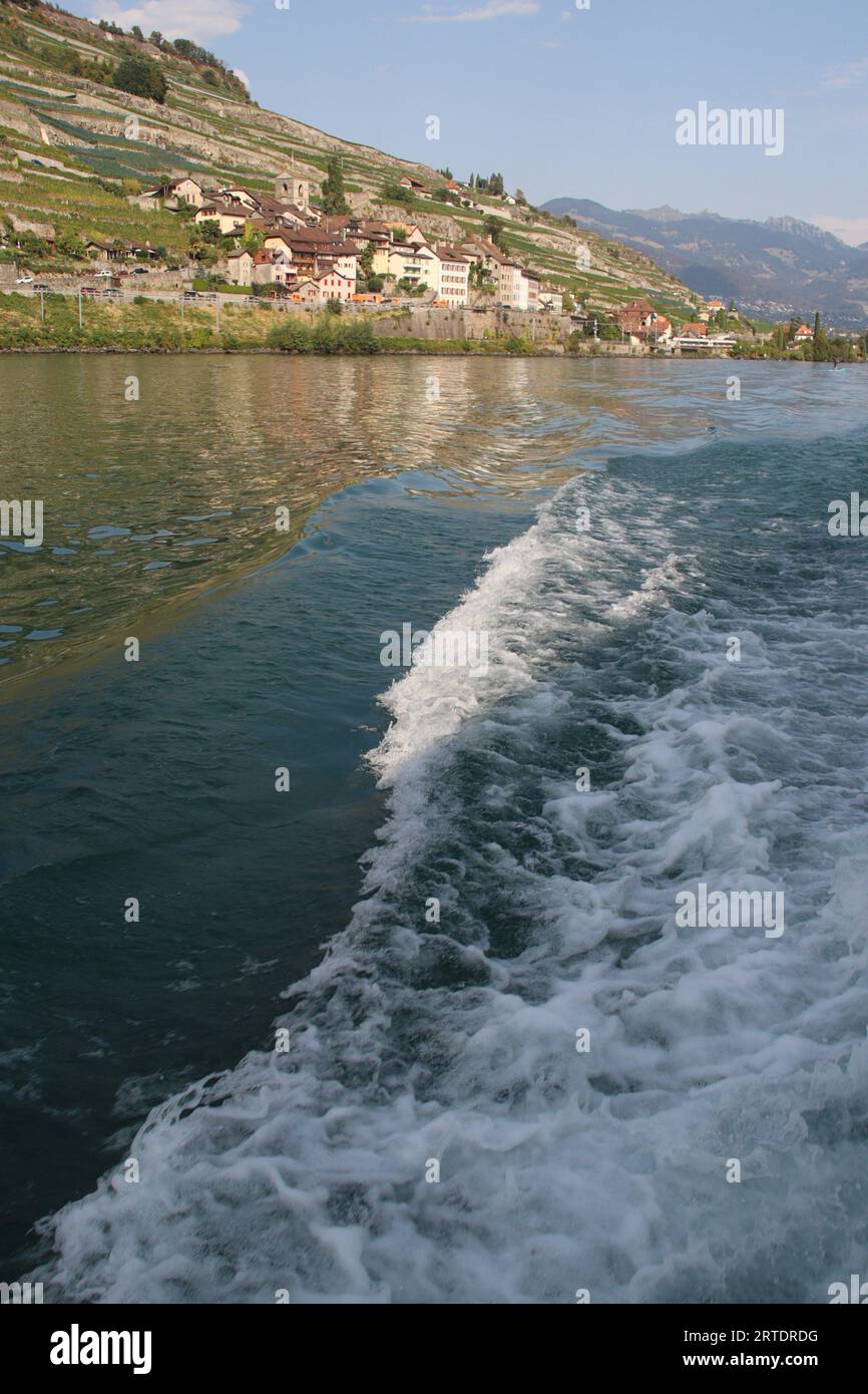 Lauvaux vineyard terraces Stock Photo - Alamy