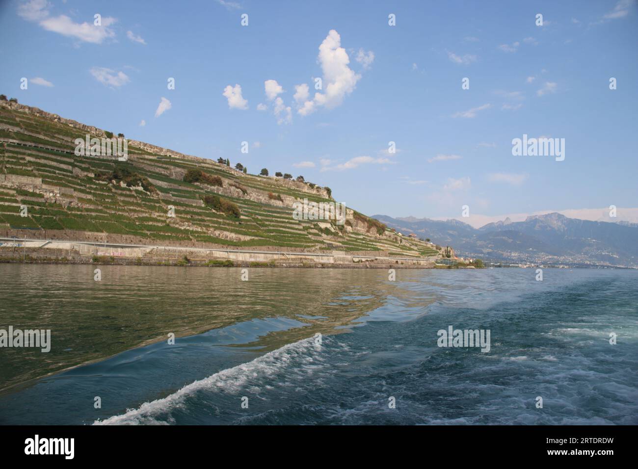 Lauvaux vineyard terraces Stock Photo - Alamy