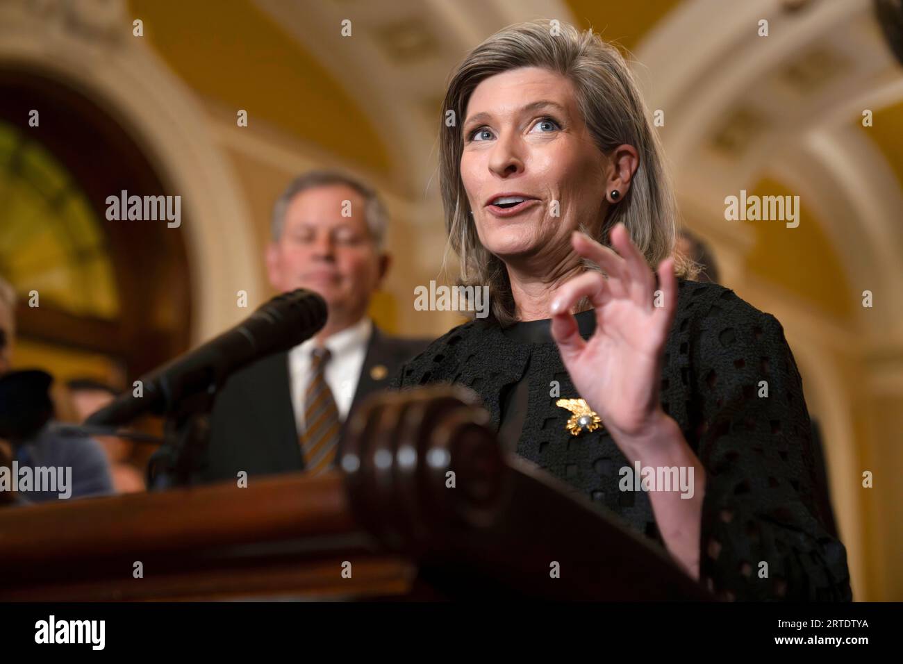 Sen. Joni Ernst, R-Iowa, speaks during a media availability on Capitol ...