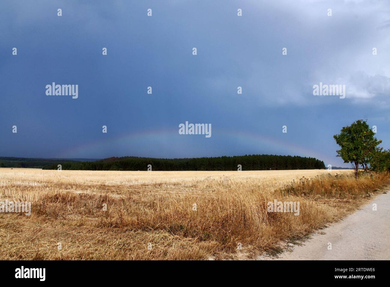 Supernumerary hi-res stock photography and images - Alamy