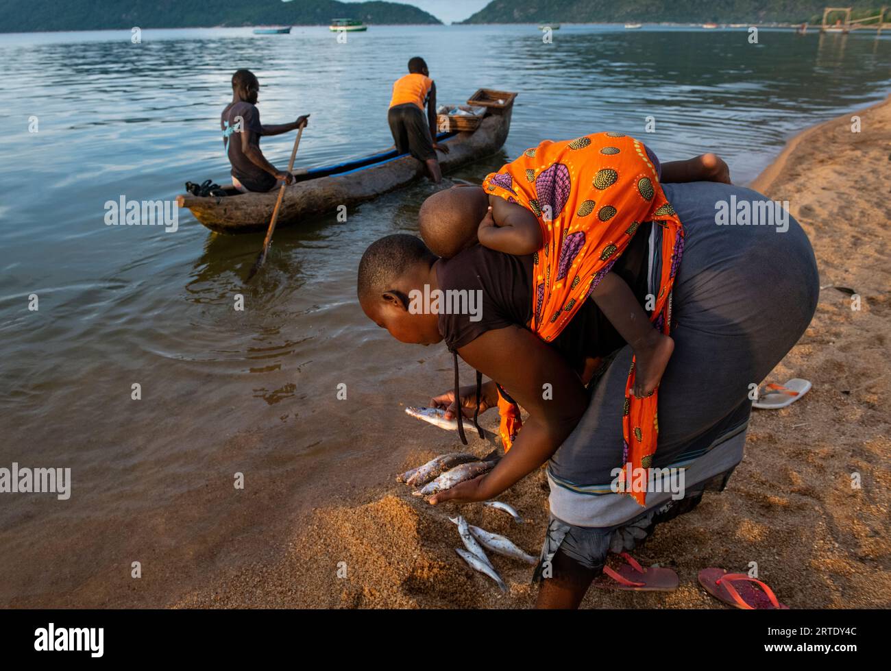 Cape Maclear, Malawi. A woman collects the fish that were caught on ...