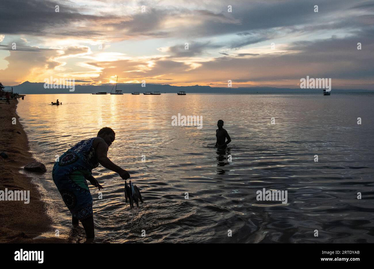 Cape Maclear, Malawi. A woman collects the fish that were caught on ...