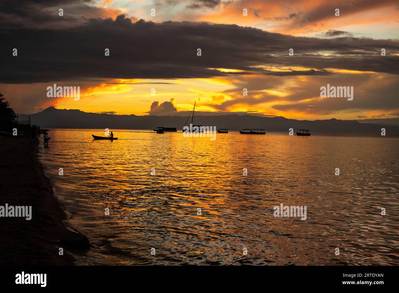 Cape Maclear, Malawi. A woman collects the fish that were caught on ...