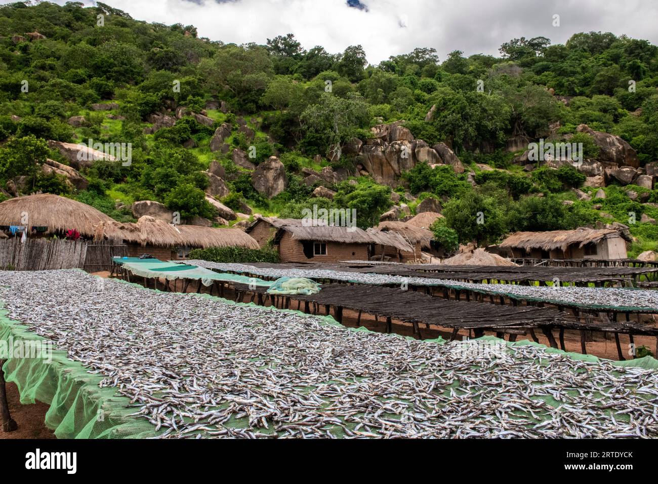 Monkey bay malawi hi-res stock photography and images - Alamy