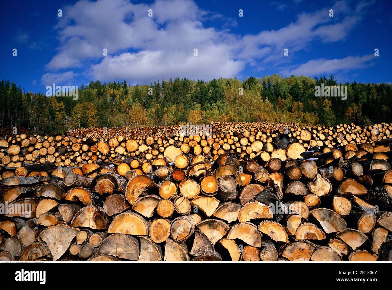 Curtis r lantinga hi-res stock photography and images - Alamy