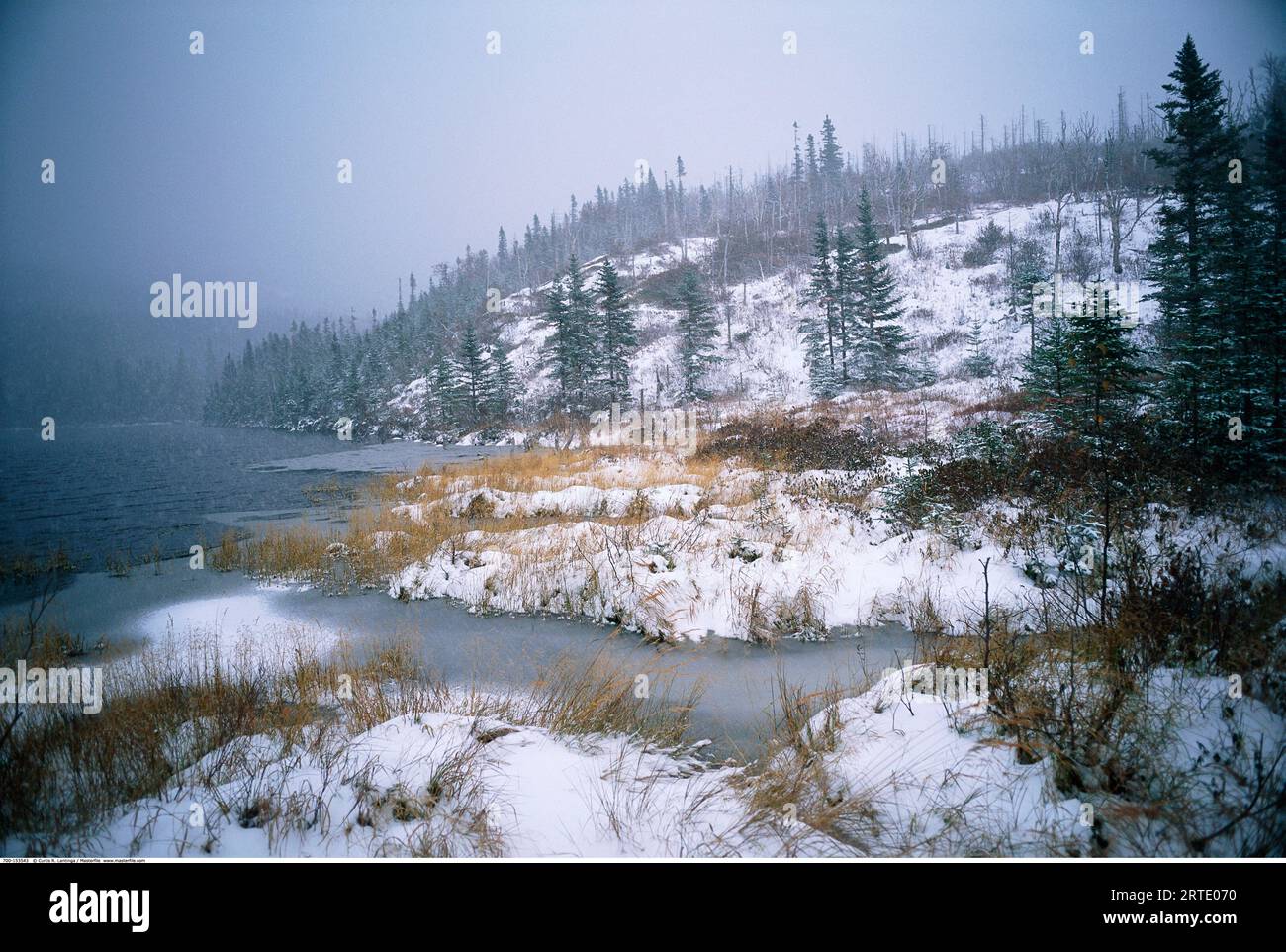 Curtis r lantinga hi-res stock photography and images - Alamy