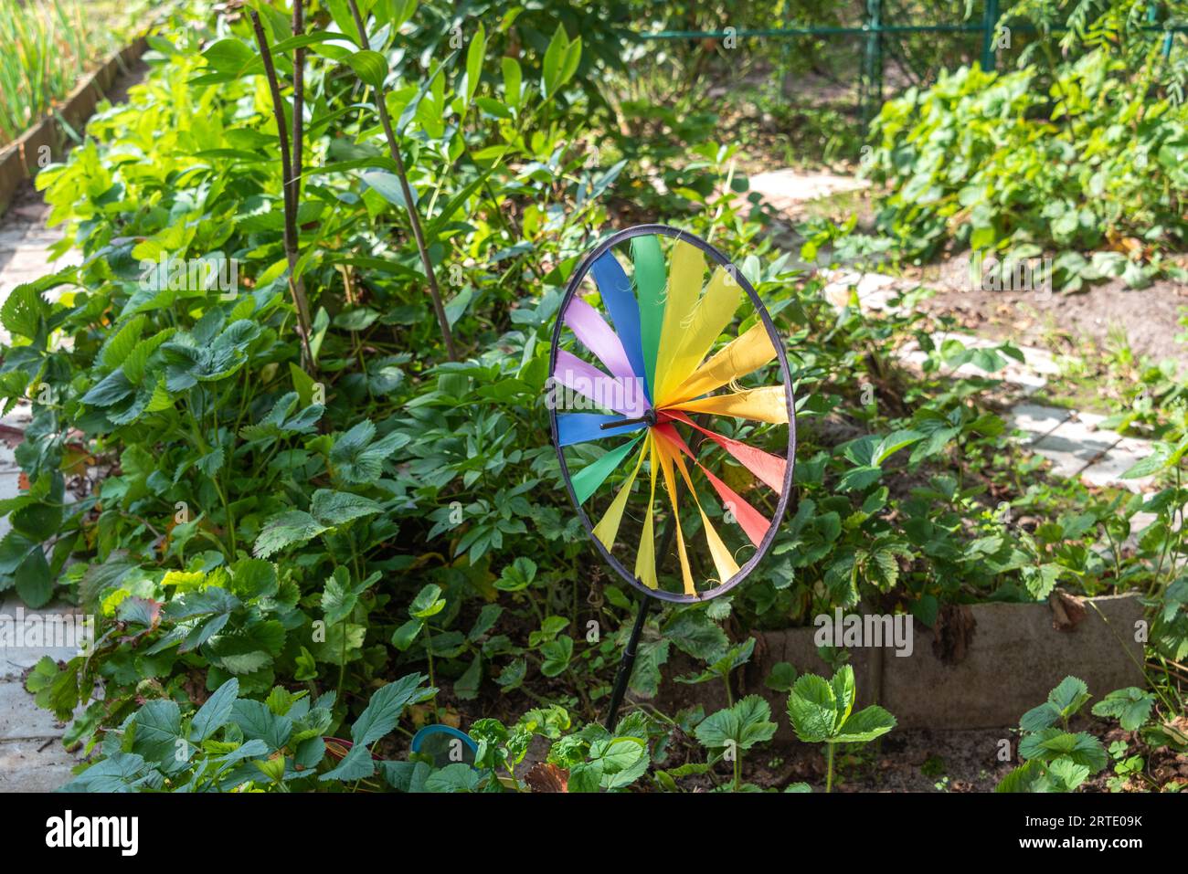 Multi-colored spinner toy rotating in the garden of a cottage colorful ...