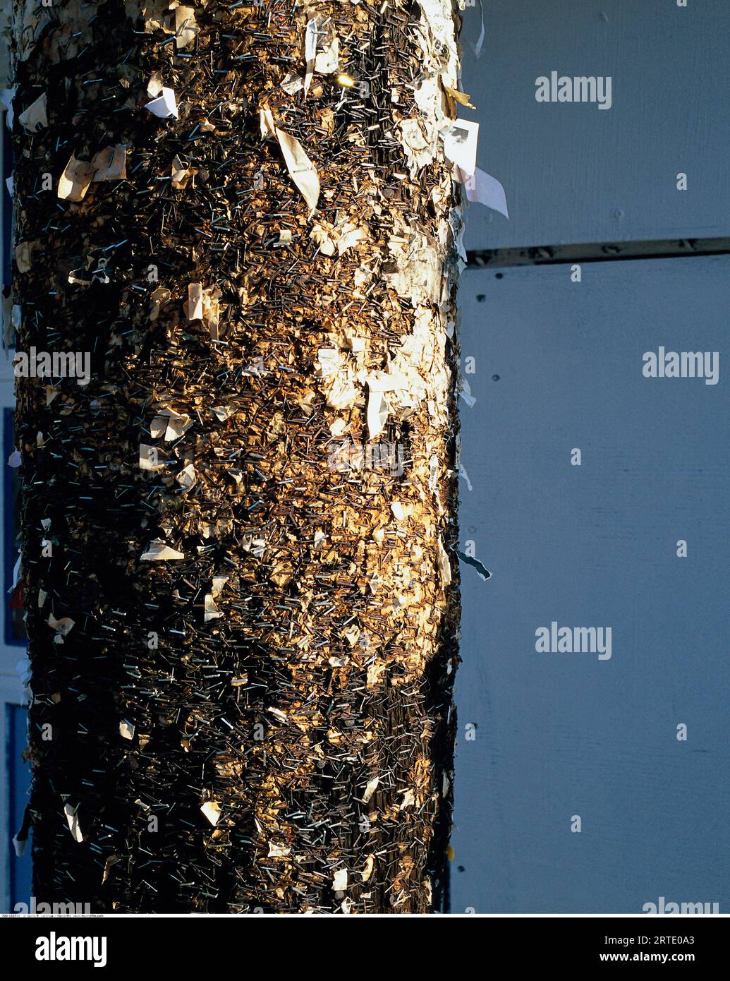 Curtis r lantinga hi-res stock photography and images - Alamy