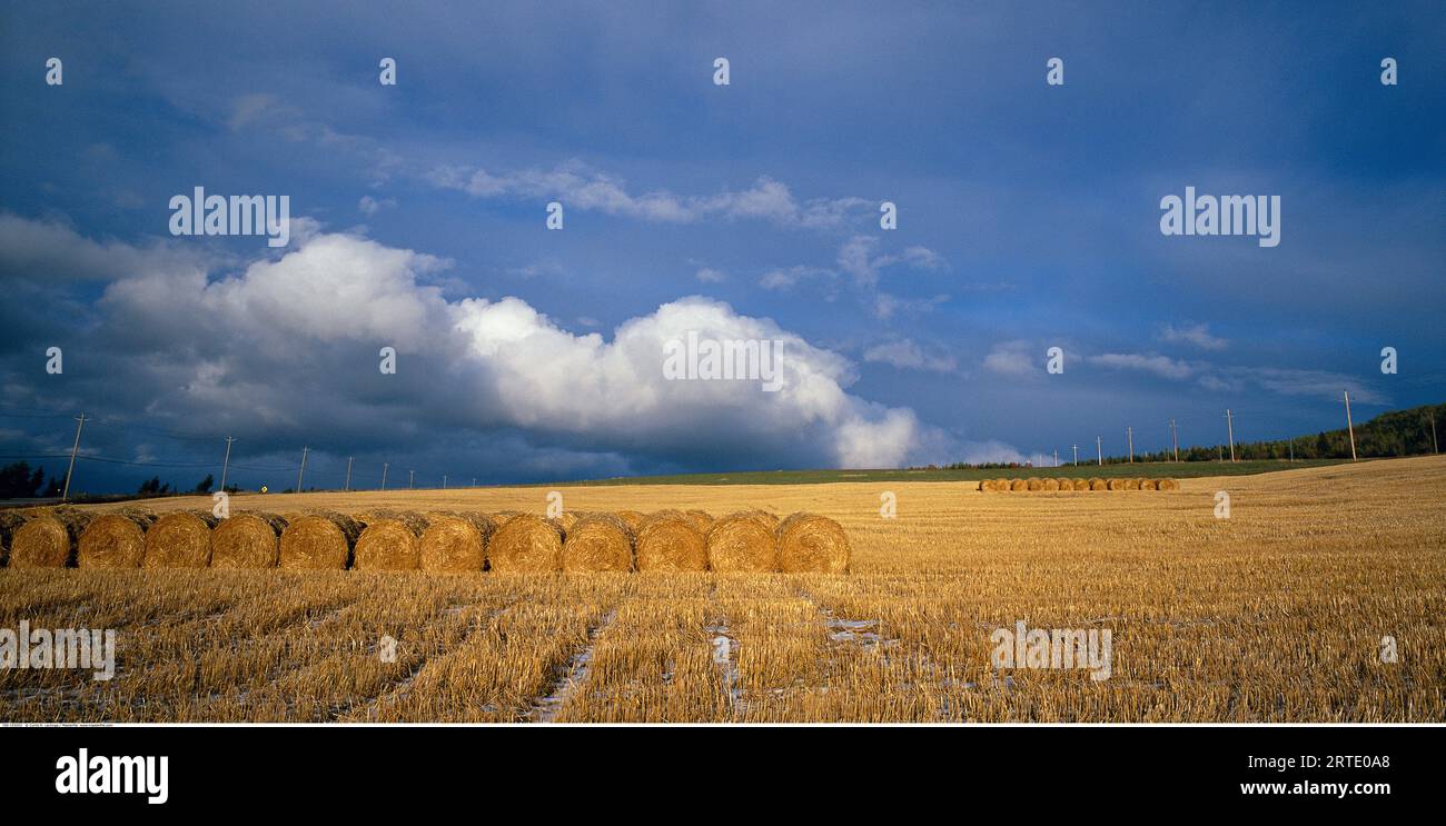 Curtis r lantinga hi-res stock photography and images - Alamy