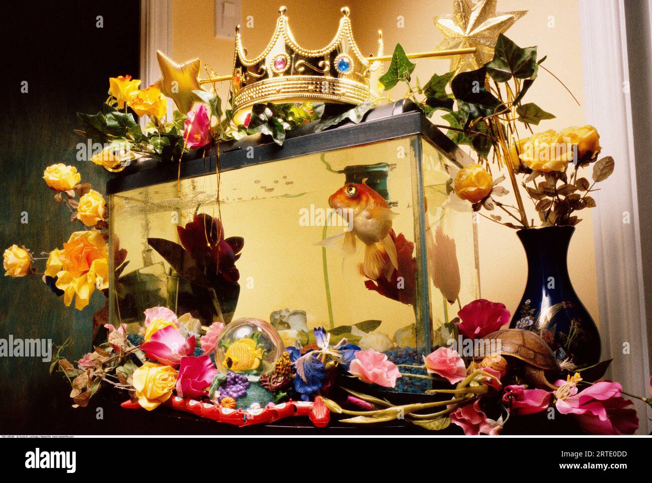 Curtis r lantinga hi-res stock photography and images - Alamy