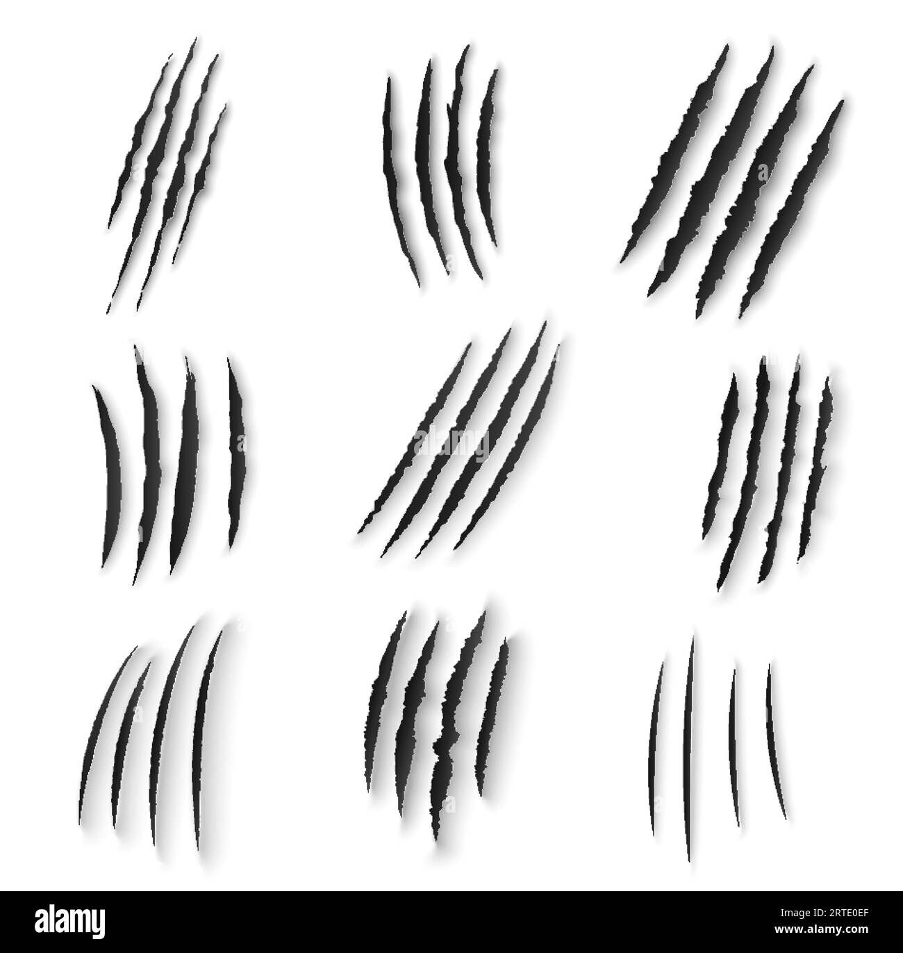 Four paws lion Stock Vector Images - Alamy