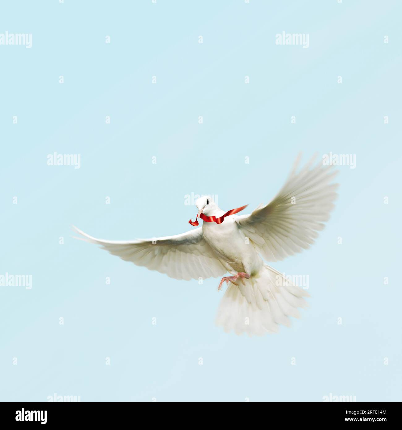 Dove Flying with Red Ribbon Stock Photo - Alamy