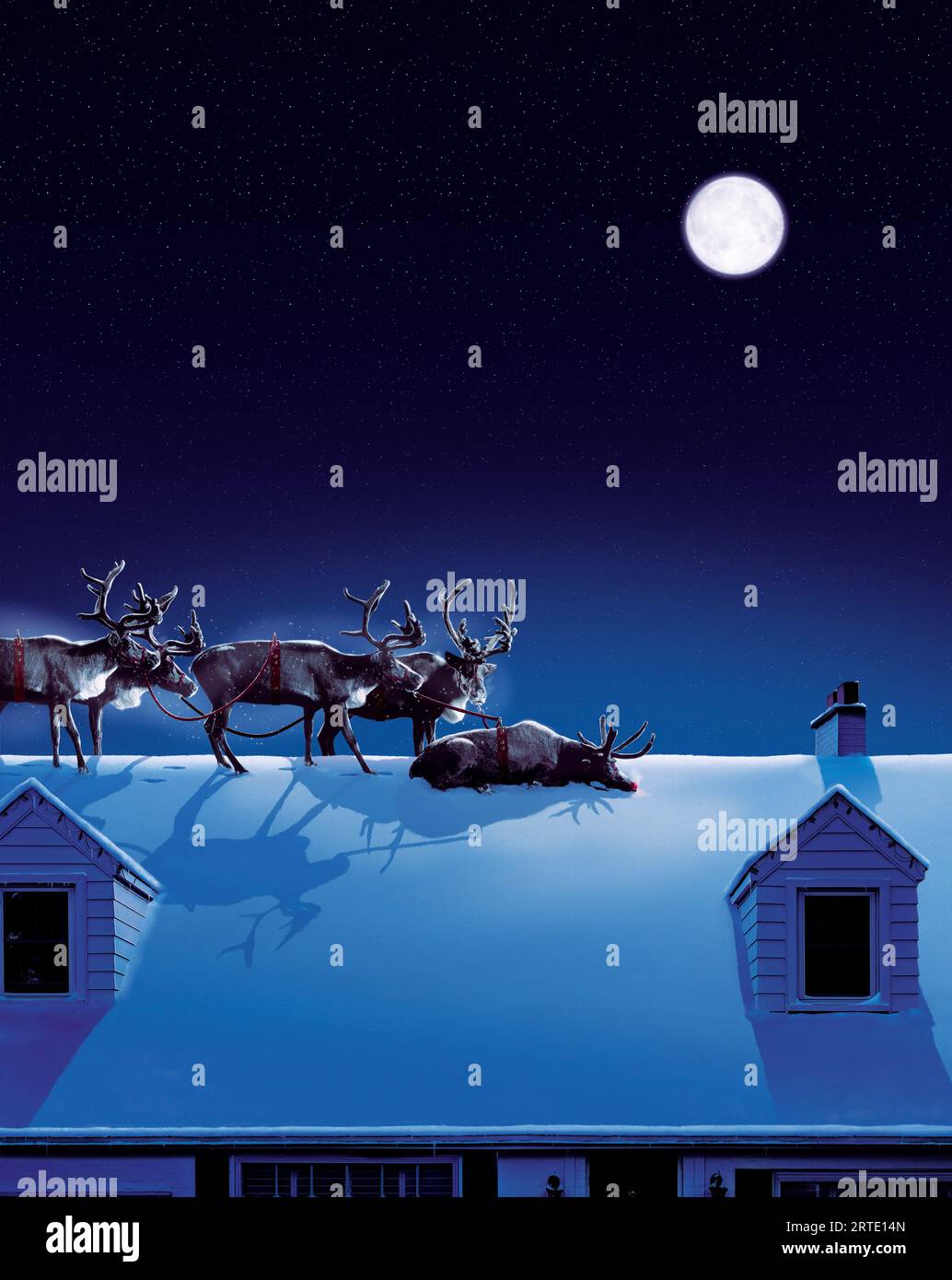 Snow house reindeer on roof hi-res stock photography and images - Alamy