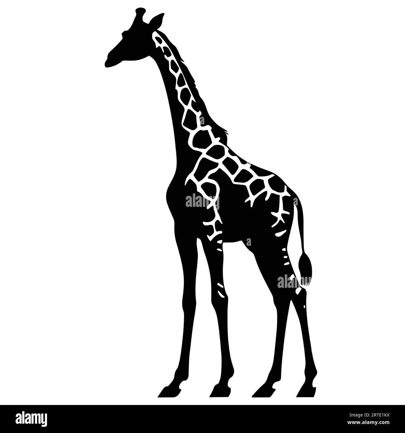 Black silhouette of a giraffe isolated Stock Vector Image & Art - Alamy