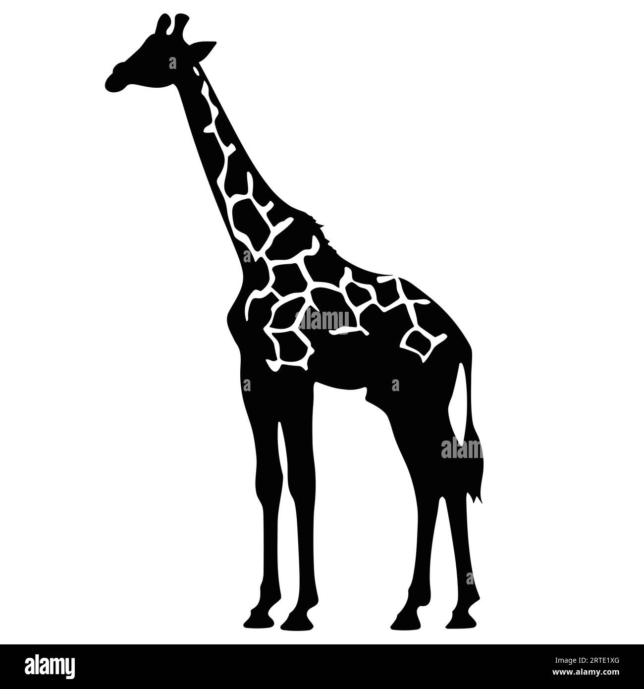 Black silhouette of a giraffe isolated Stock Vector Image & Art - Alamy