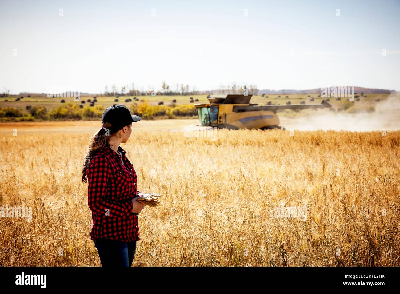 Standing crop hi-res stock photography and images - Alamy