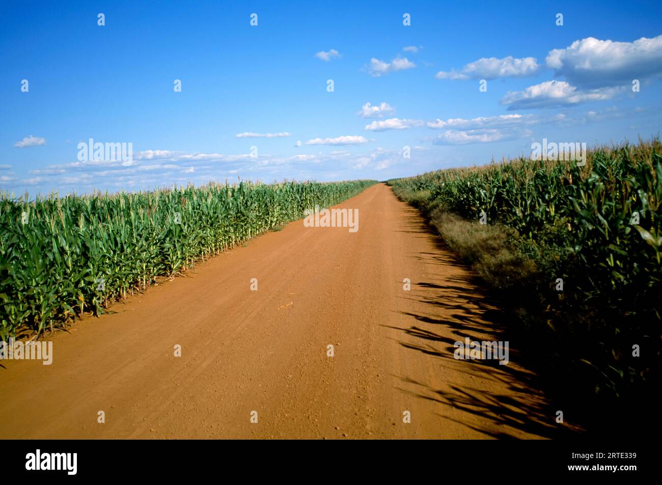 Big corn roads hi-res stock photography and images - Alamy