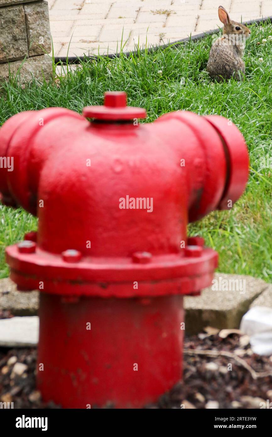 Pulaski Park, Chicago Stock Photo - Alamy
