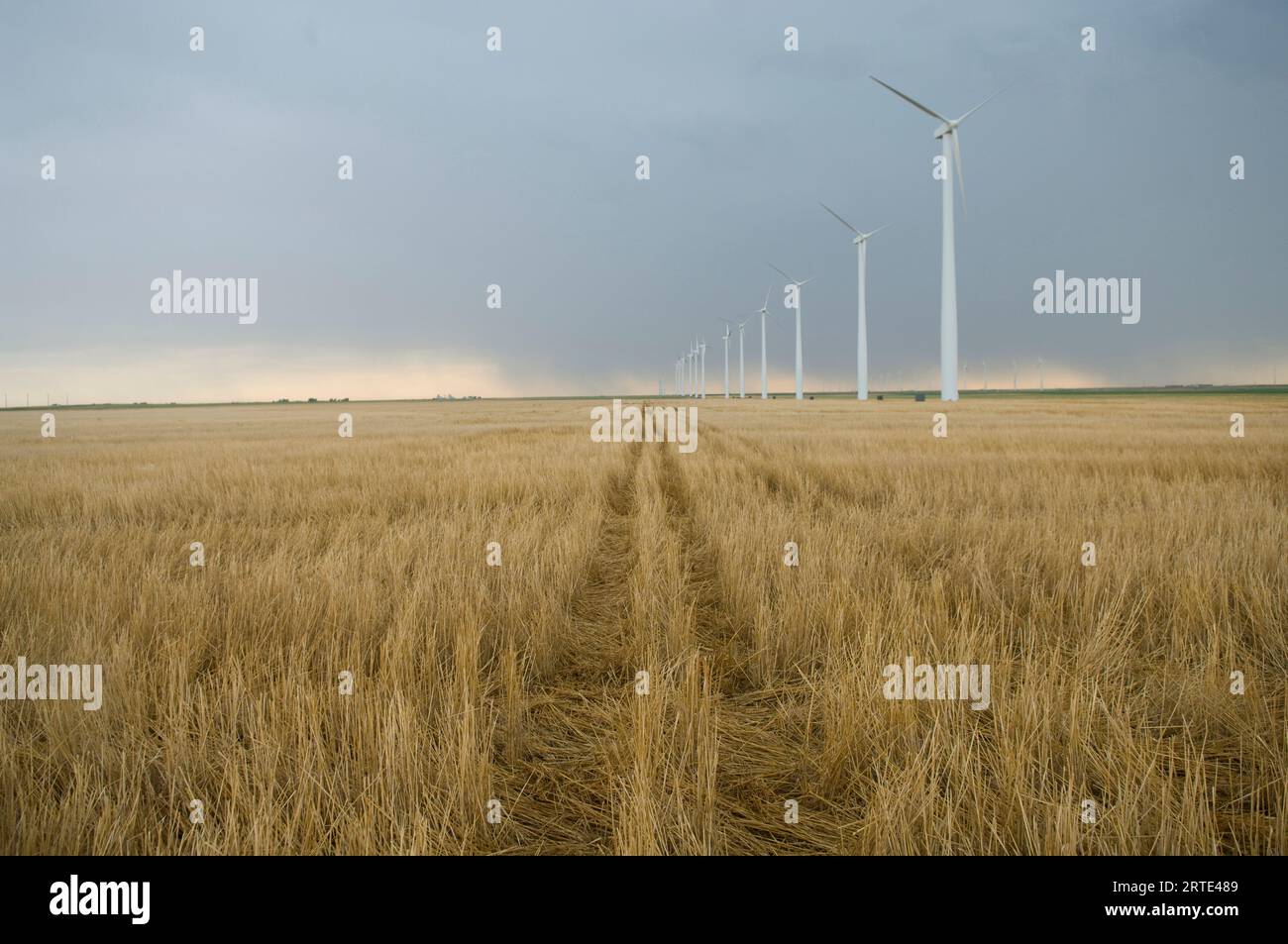 Wind turbines line the edge of a farm field in southwest Kansas ...