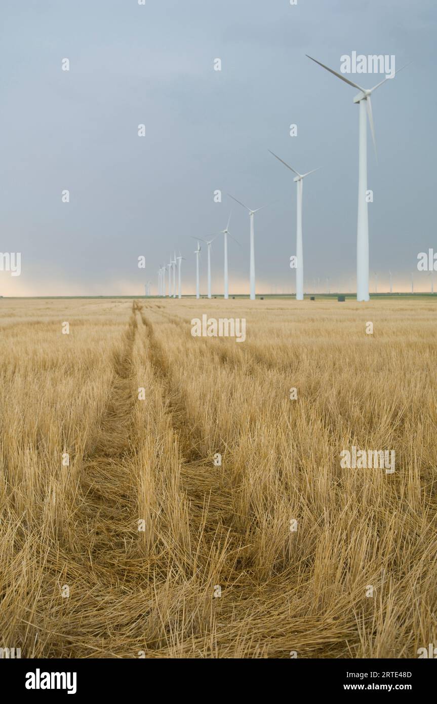 Wind turbines line the edge of a farm field in southwest Kansas ...
