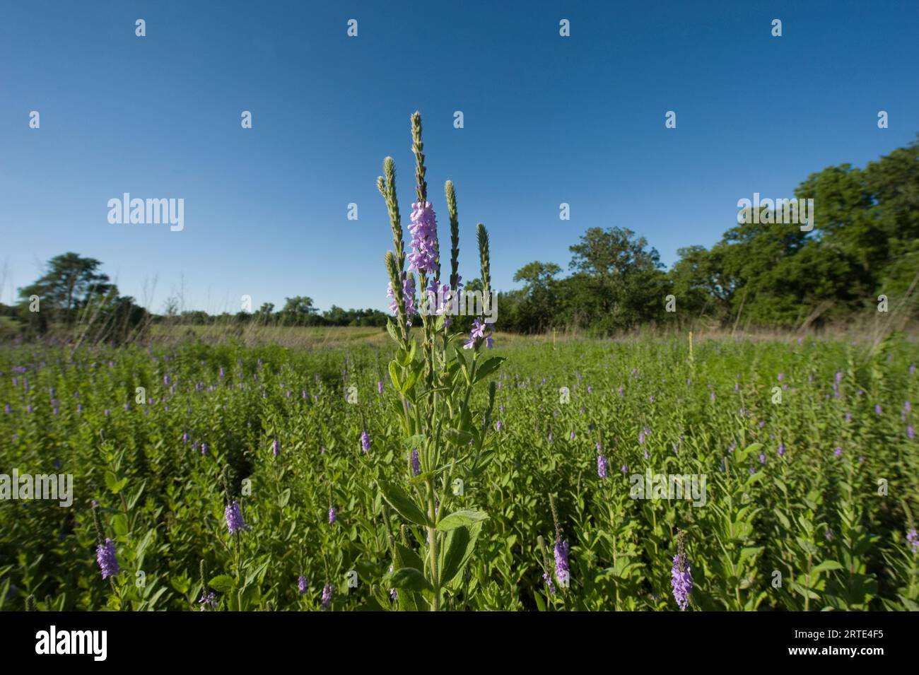 Open spaces nature preserves hi-res stock photography and images - Alamy