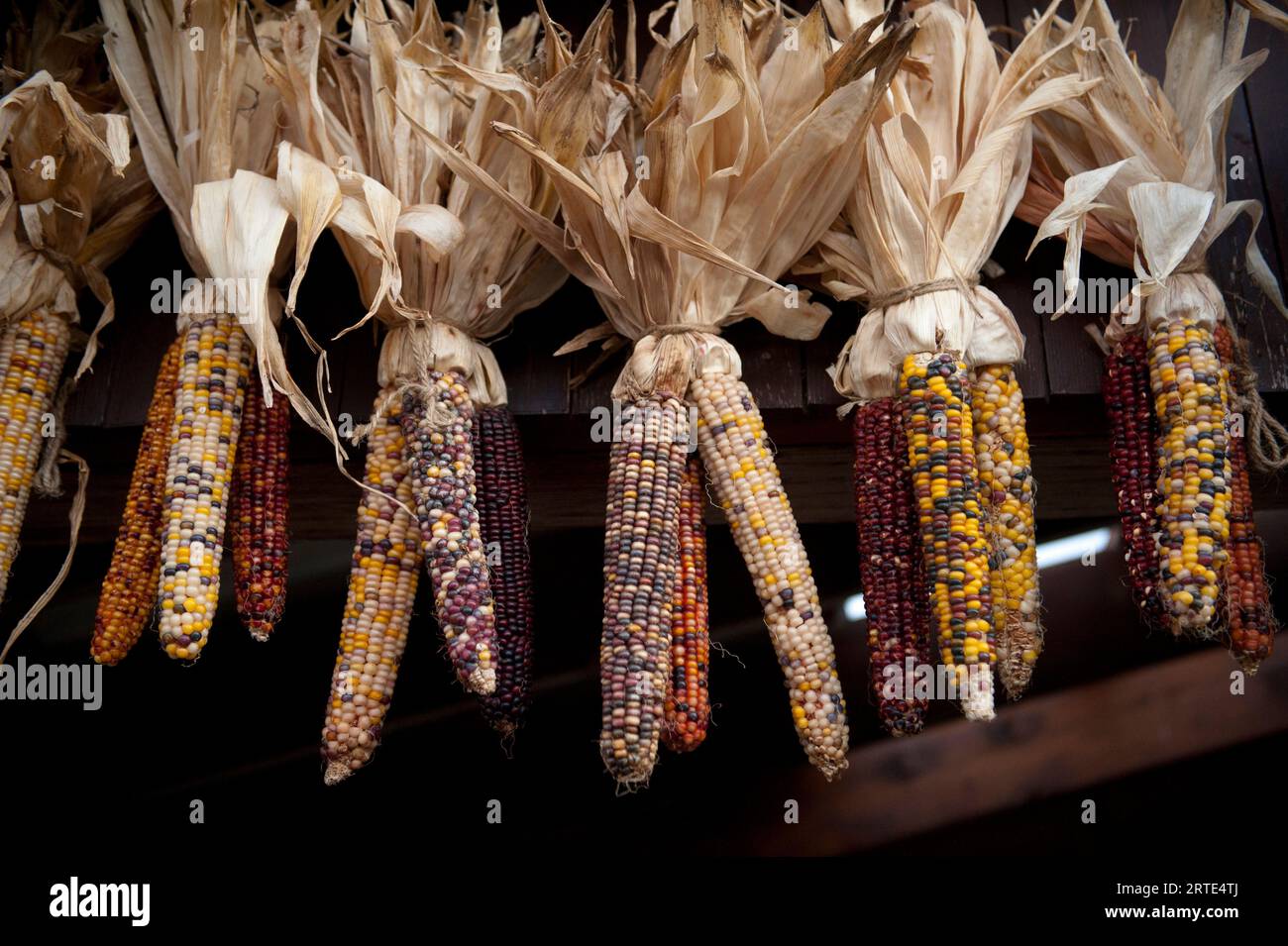 Bundles of Indian corn decorate the exterior of a building; Lincoln ...