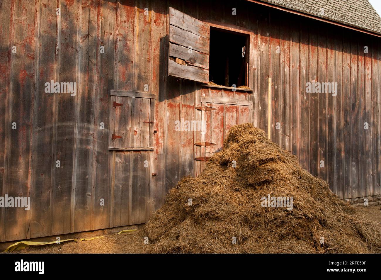 Pile of hay outside a barn window is cleaned out from a barn; Dunbar ...