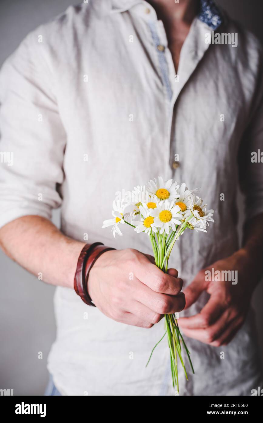 Bunch of Freshly Picked Daisy Flowers in Male Hands Stock Photo - Alamy