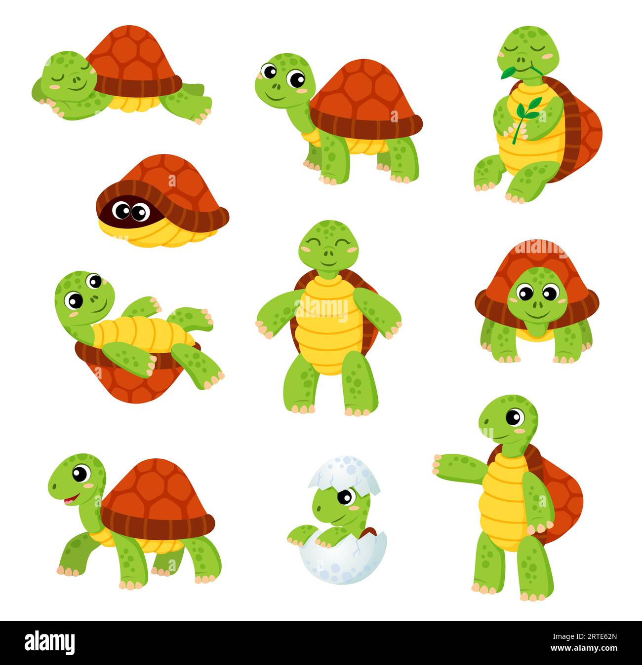 Cartoon turtle hi-res stock photography and images - Alamy