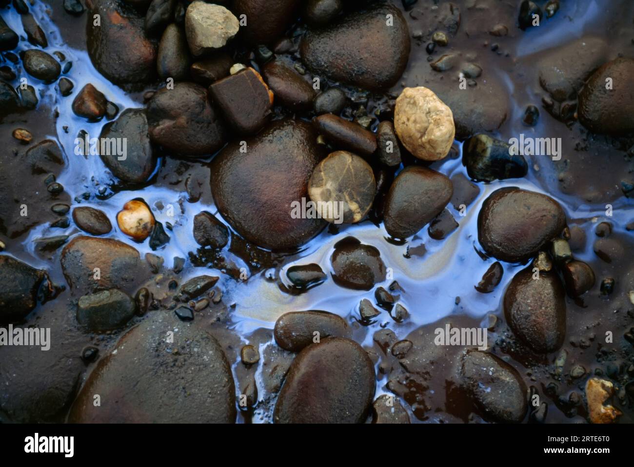 Oil slick and pebbles in a stream; North Slope, Alaska, United States ...