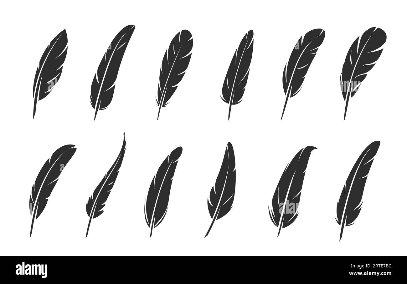 Quill feather icons. Vector silhouettes of black bird plume with curved ...