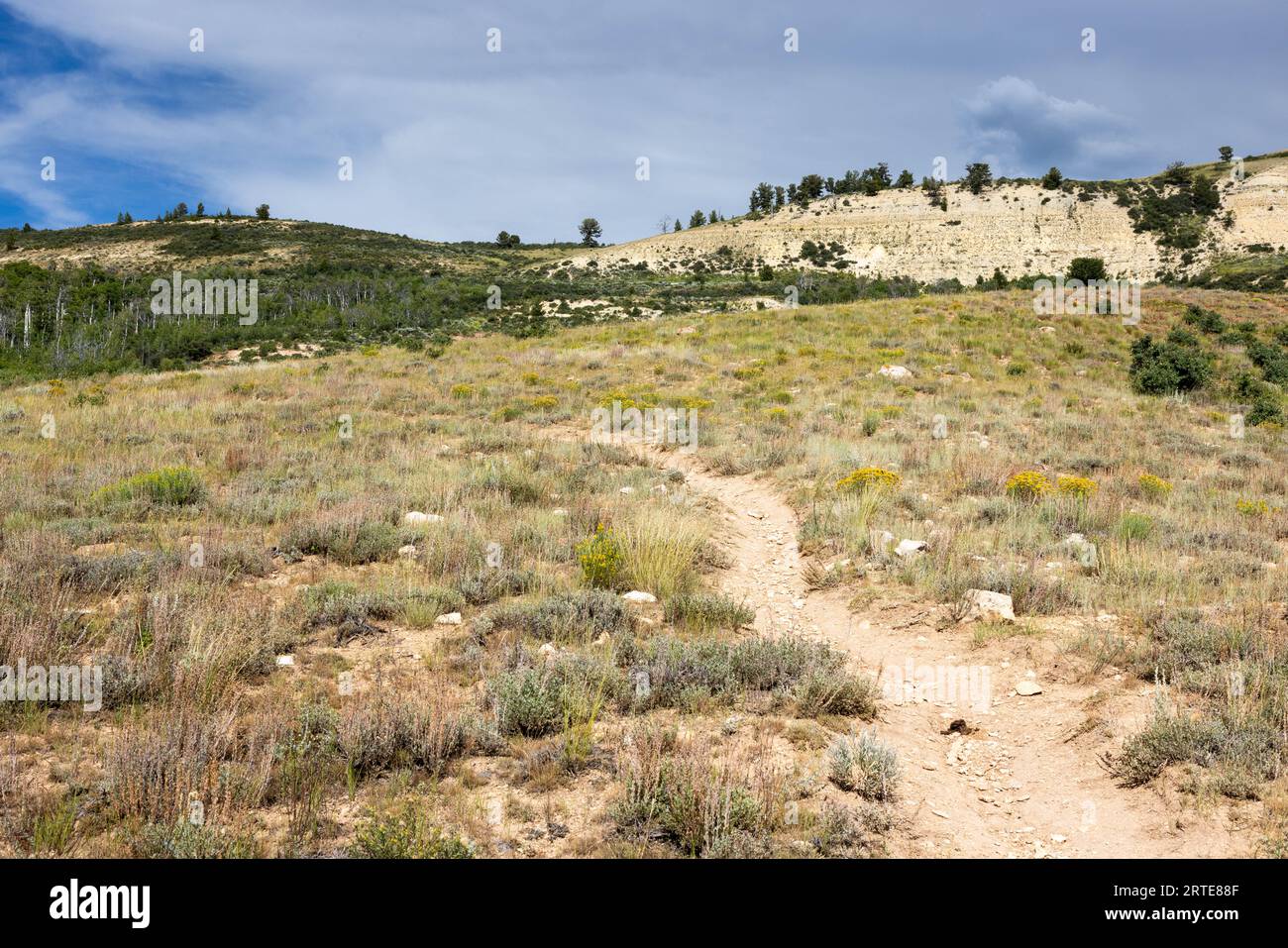 The Nature Trail ascending through a desert landscape below Fossil ...