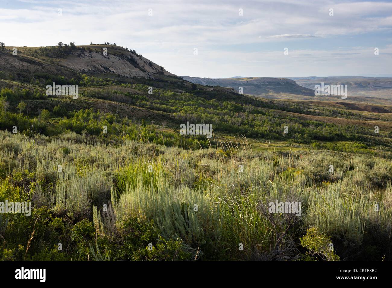 Fossil butte national monument hi-res stock photography and images - Alamy