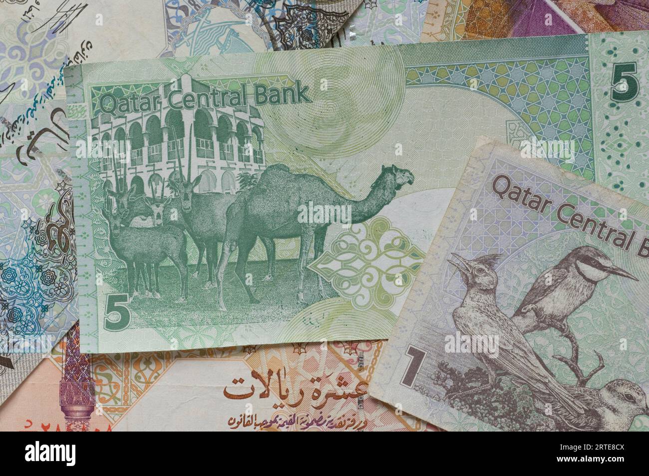 Qatar bank note hi-res stock photography and images - Alamy