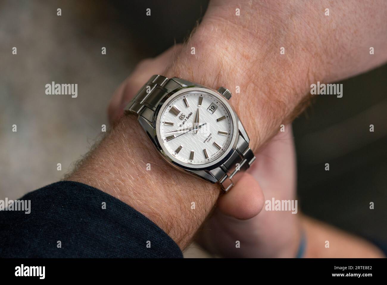 Grand Seiko SLGA009 White Birch Stock Photo - Alamy