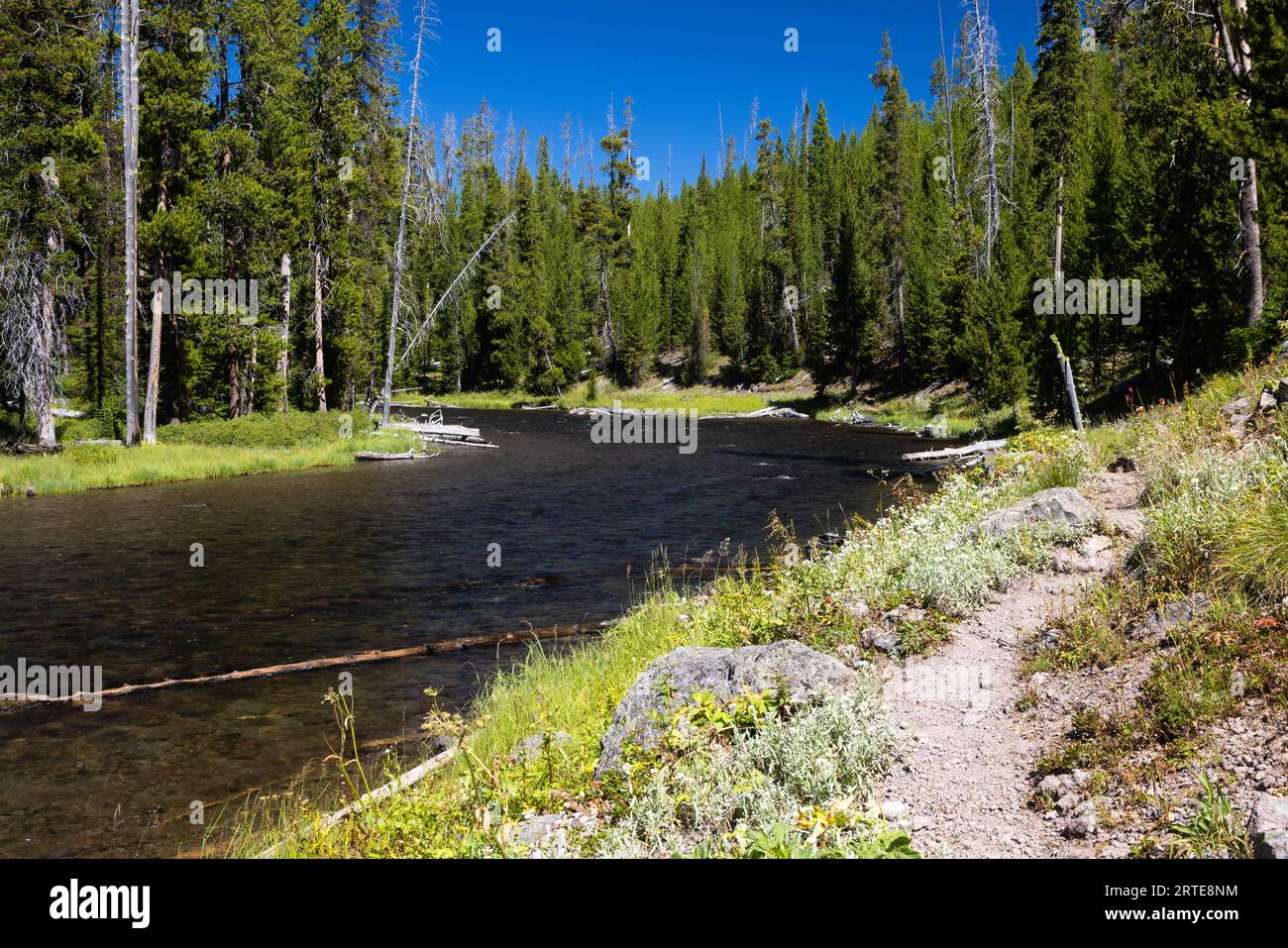 Lewis river channel trail hi-res stock photography and images - Alamy