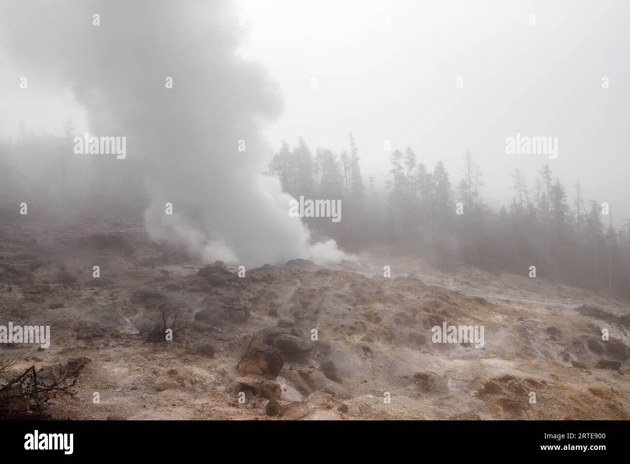 The powerful aftermath of an eruption at Steamboat Geyser spewing ...