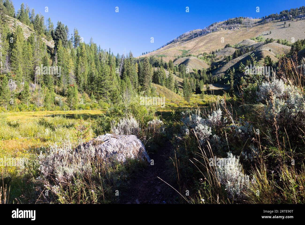 Sagebrush lining the Game Creek Trail below smaller peaks of the Gros ...